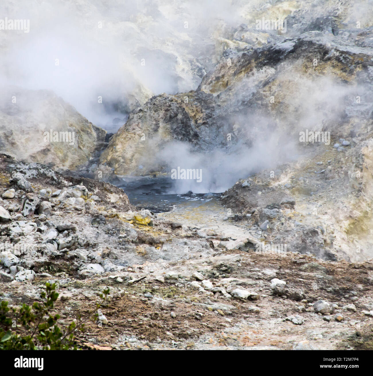 Soufriere st lucia sulphur springs hi-res stock photography and images ...