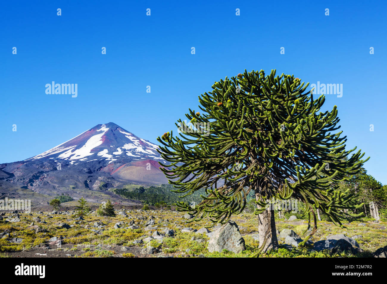 Beautiful volcanic landscapes in Chile, South America Stock Photo - Alamy