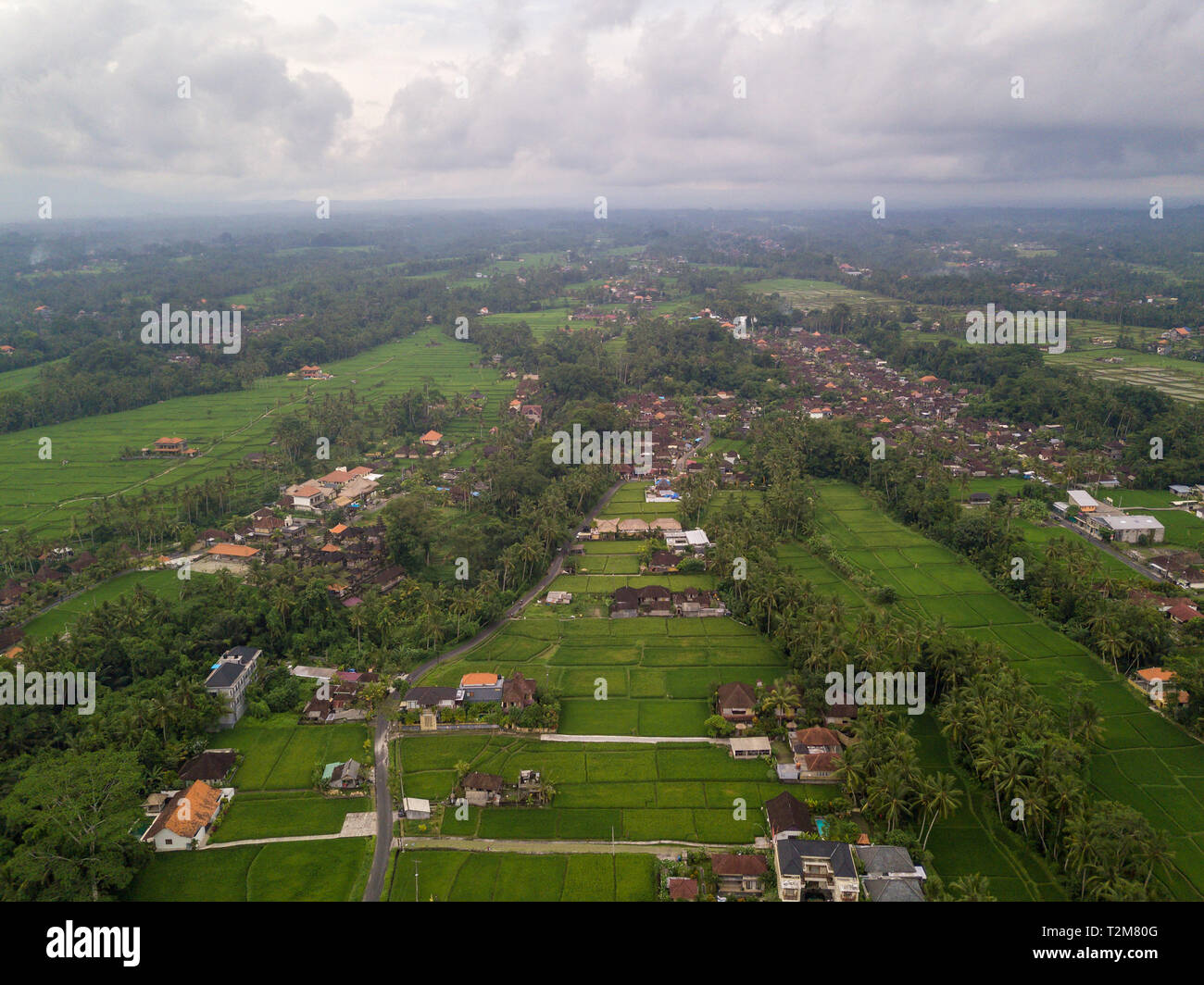 Top down aerial view of rice paddy fields in bali hi-res stock ...
