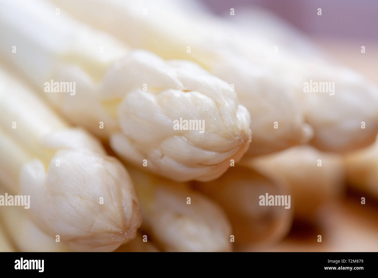 New harvest of white asparagus vegetable in spring season , washed ...