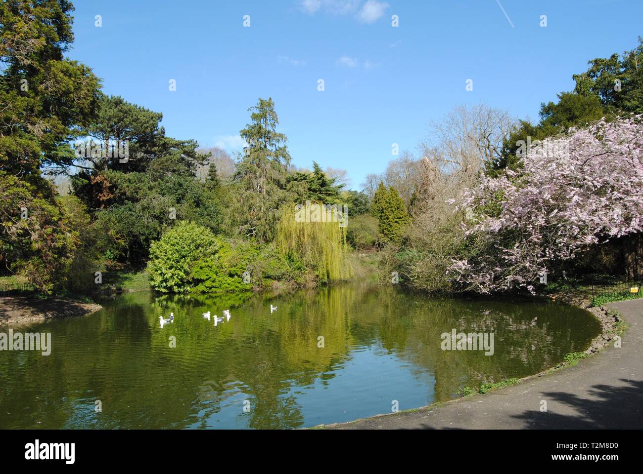The beauty of the Botanical Gardens, Bath, UK Stock Photo - Alamy