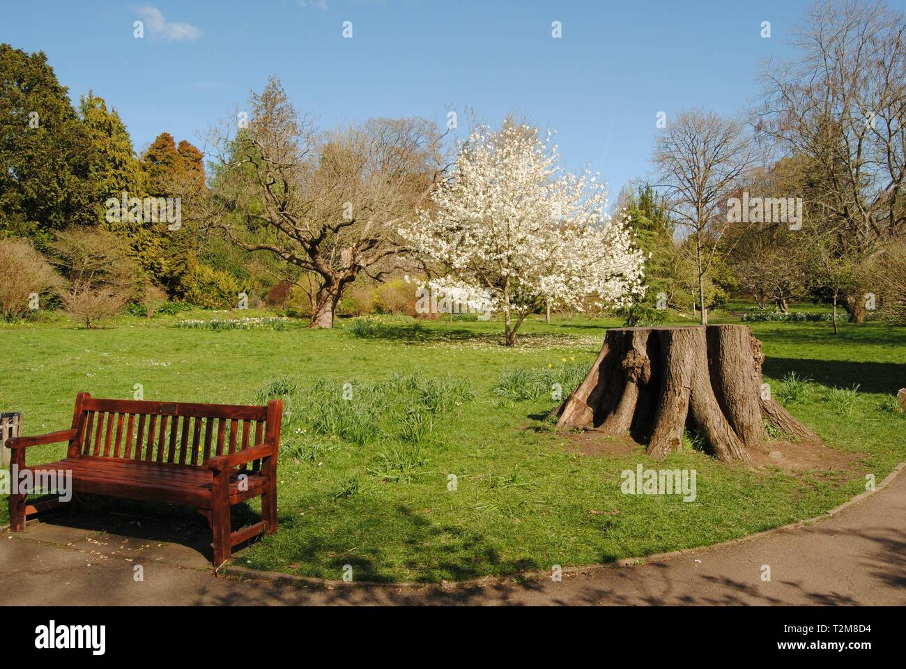 The beauty of the Botanical Gardens, Bath, UK Stock Photo - Alamy