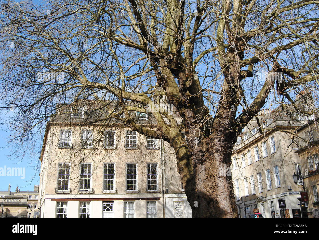 The beauty of the buildings of Bath, UK Stock Photo - Alamy