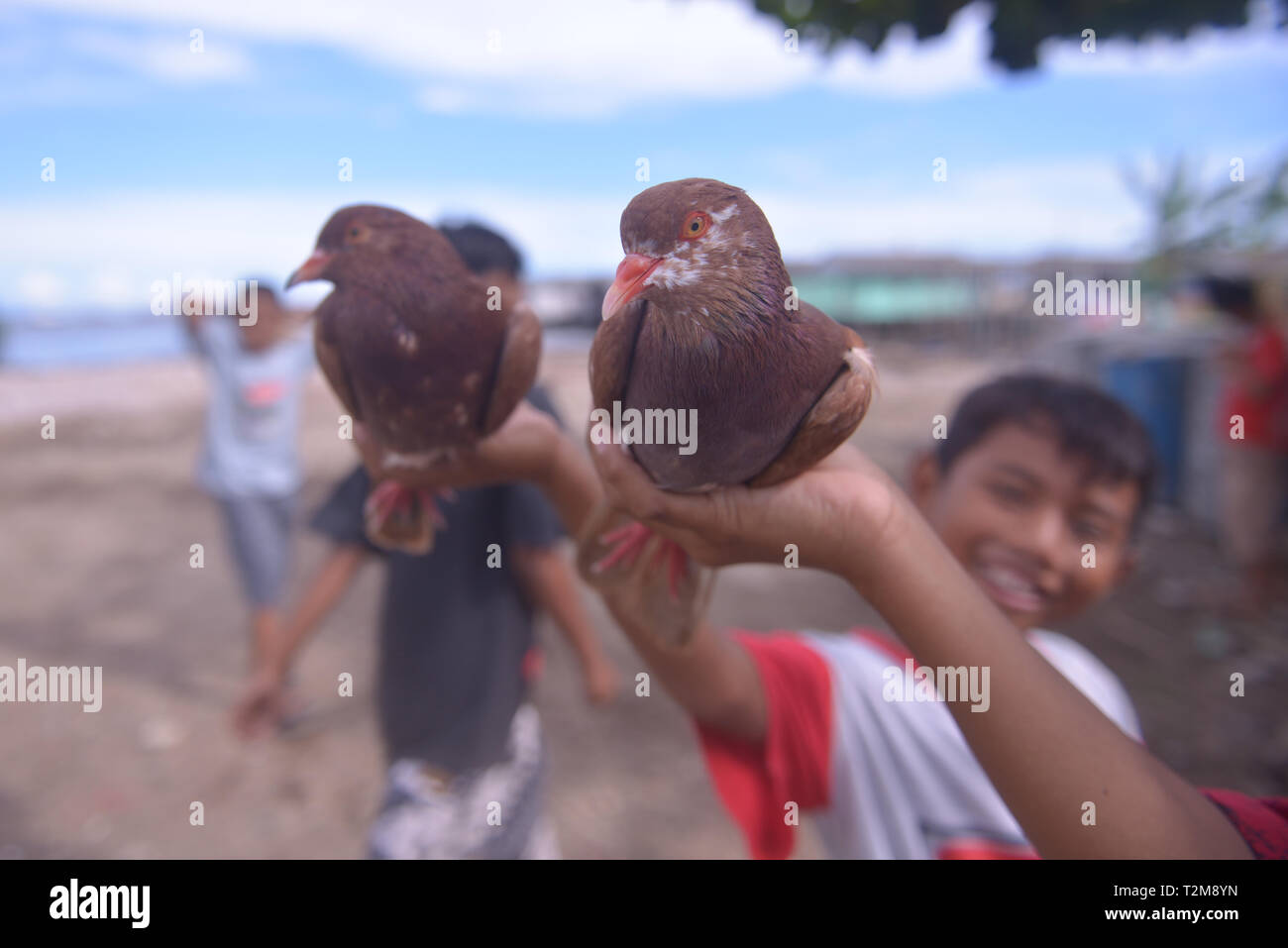 Kids playing pigeon hi-res stock photography and images - Alamy