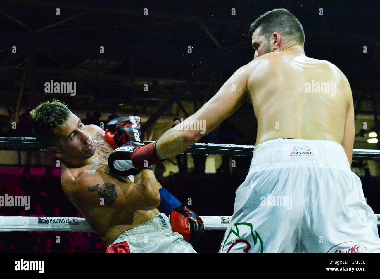 Lee baxter hi-res stock photography and images - Alamy