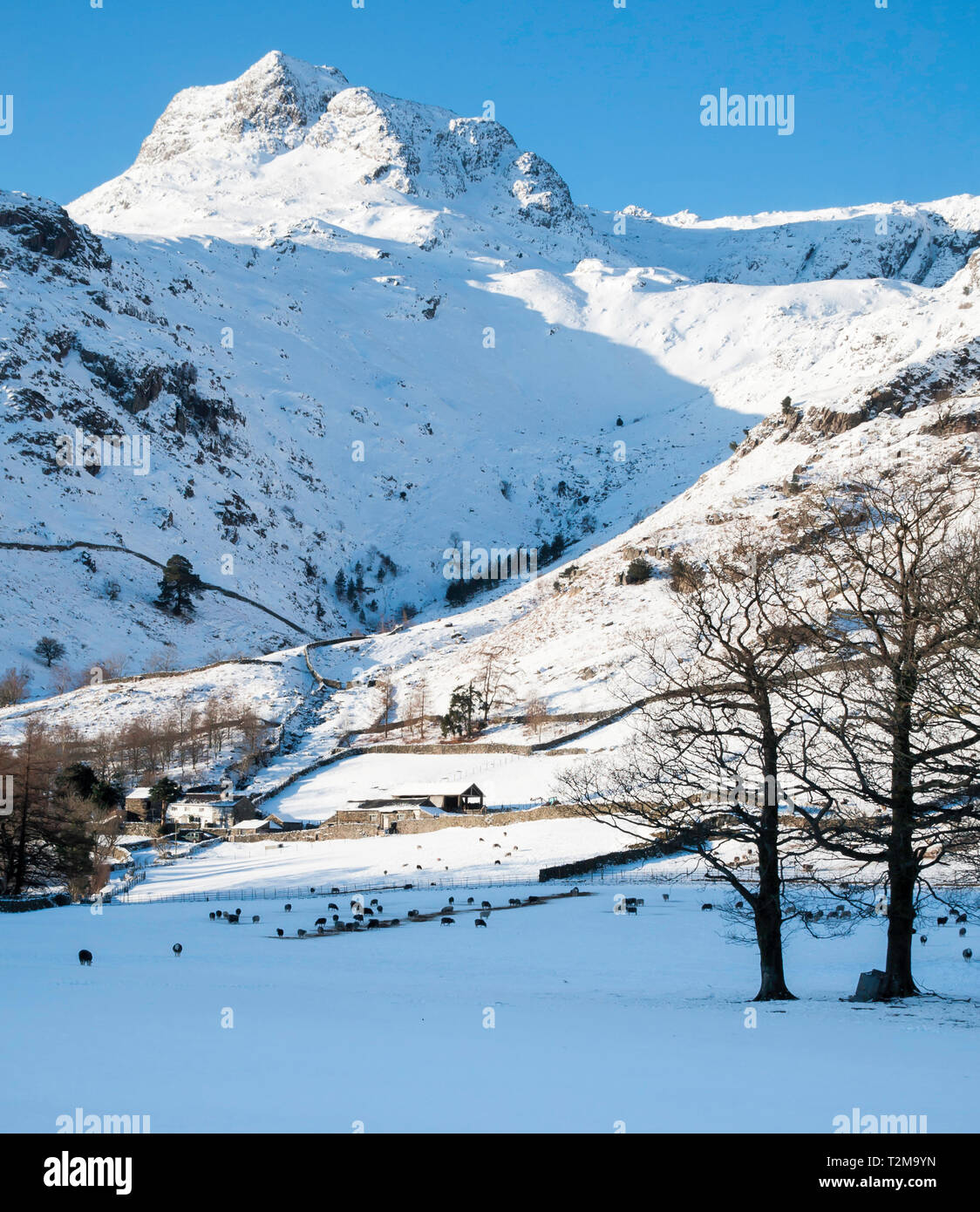 Neolithic stone axe langdale hi-res stock photography and images - Alamy