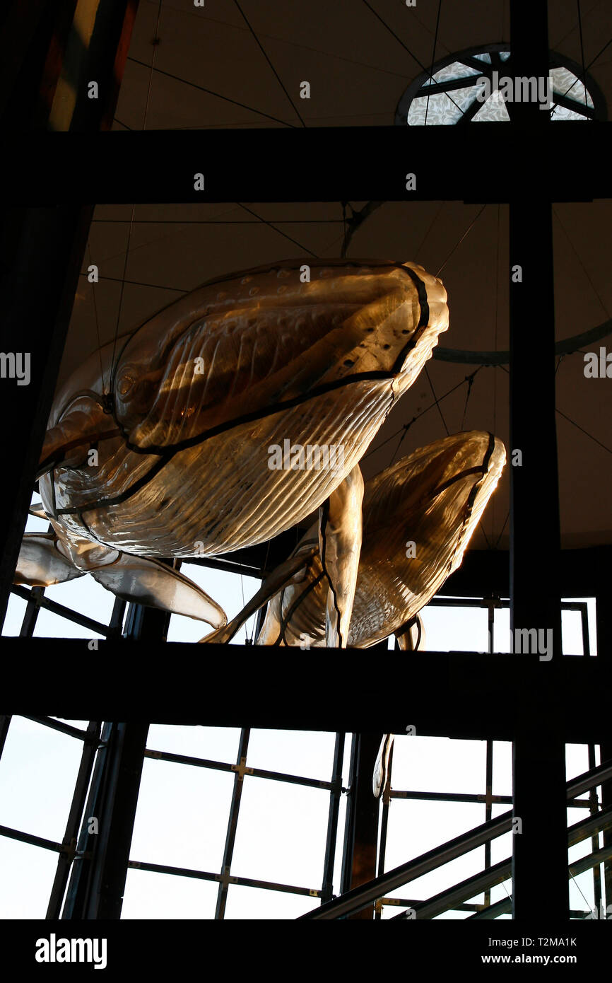 Floating art installation hi-res stock photography and images - Alamy