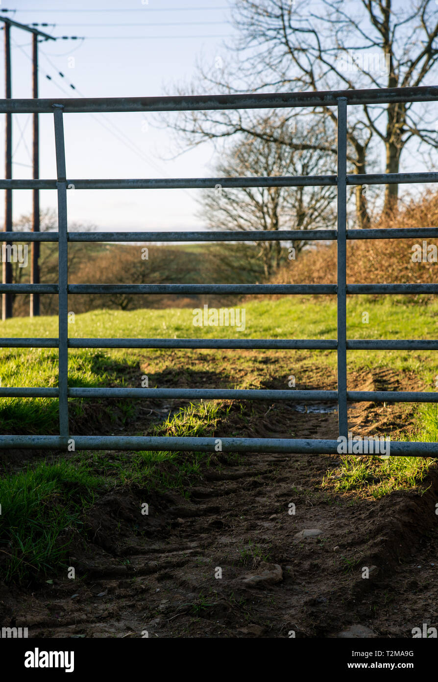 Farm gate captured in a sunny evening / Metal gate in the field Stock ...