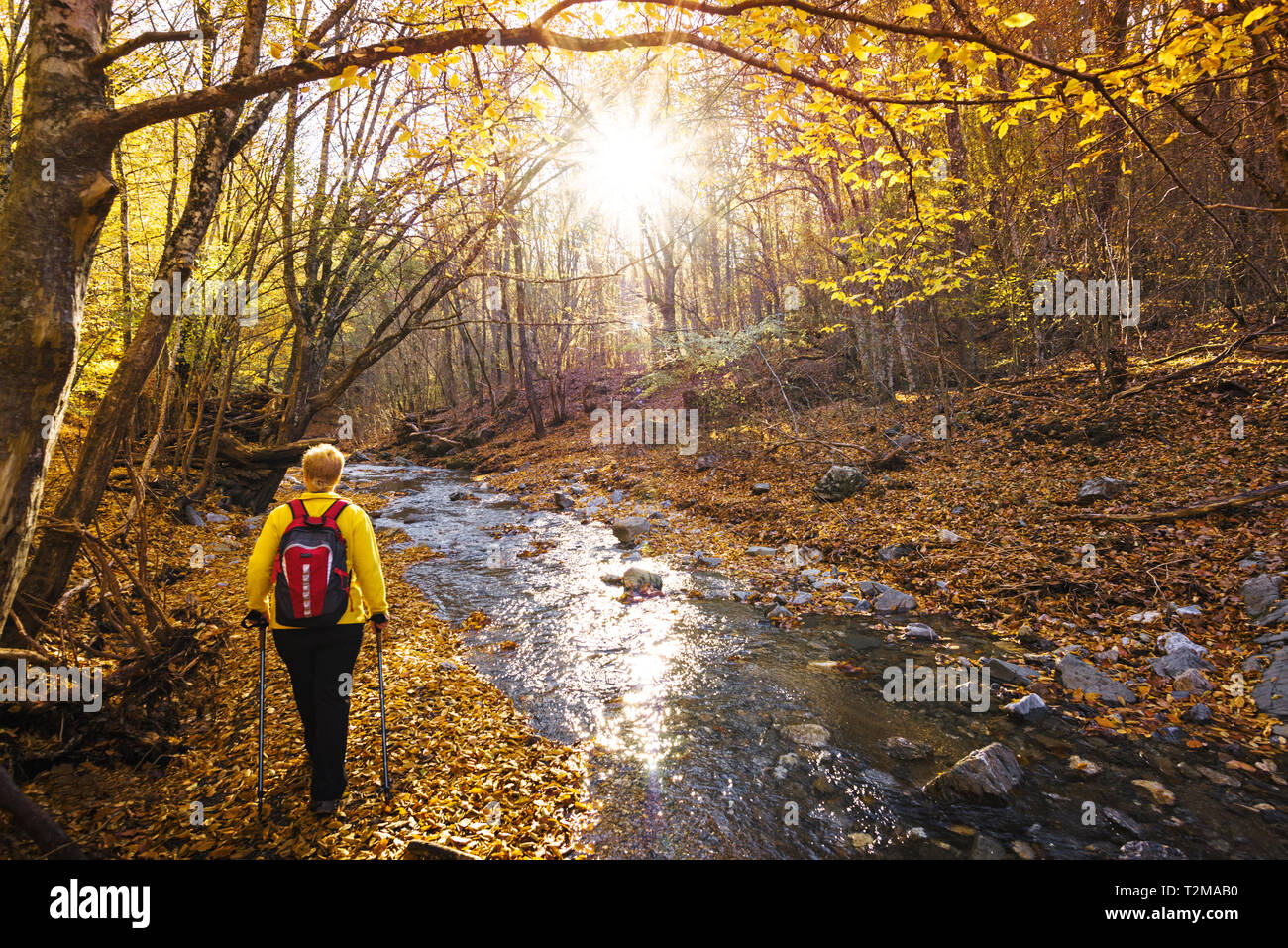 hiking in autumn forest Stock Photo - Alamy