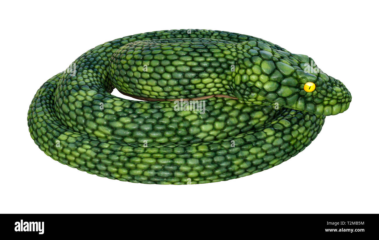 3D rendering of a green giant fantasy snake isolated on white ...