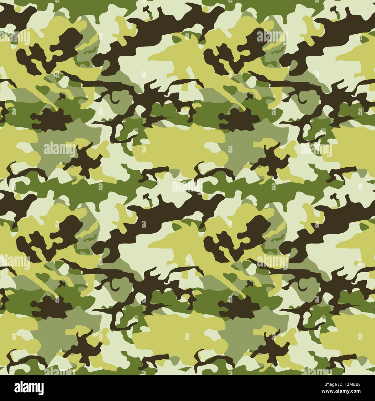 Multicam Pattern Vector