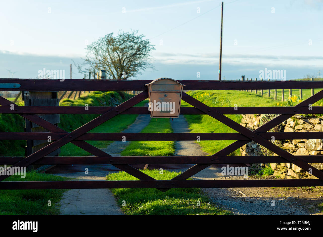 Wooden farm gate in Wales Stock Photo - Alamy