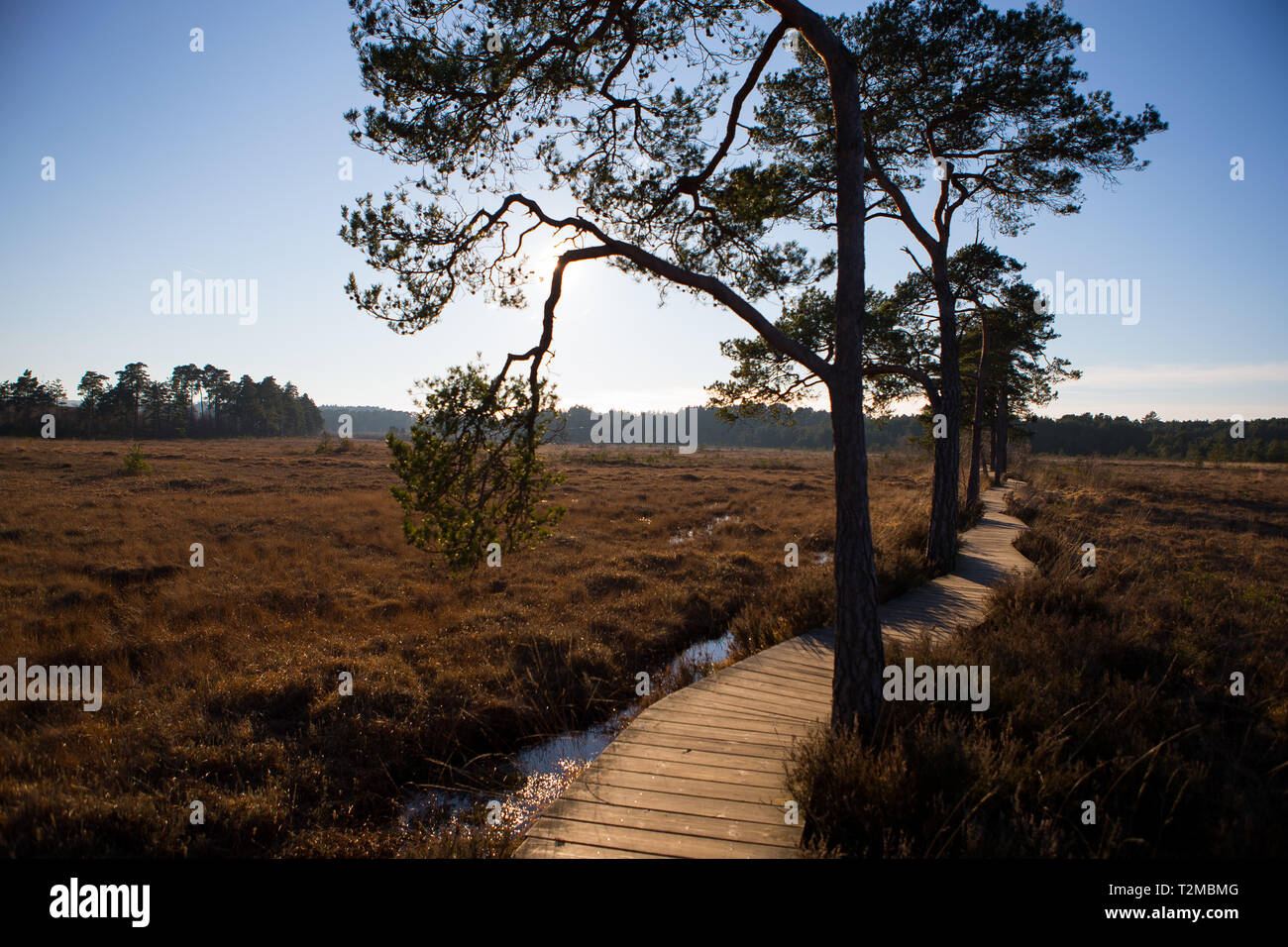 Reserve general hi-res stock photography and images - Alamy