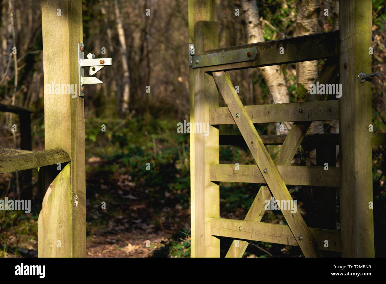 Sharp in the middle hi-res stock photography and images - Alamy