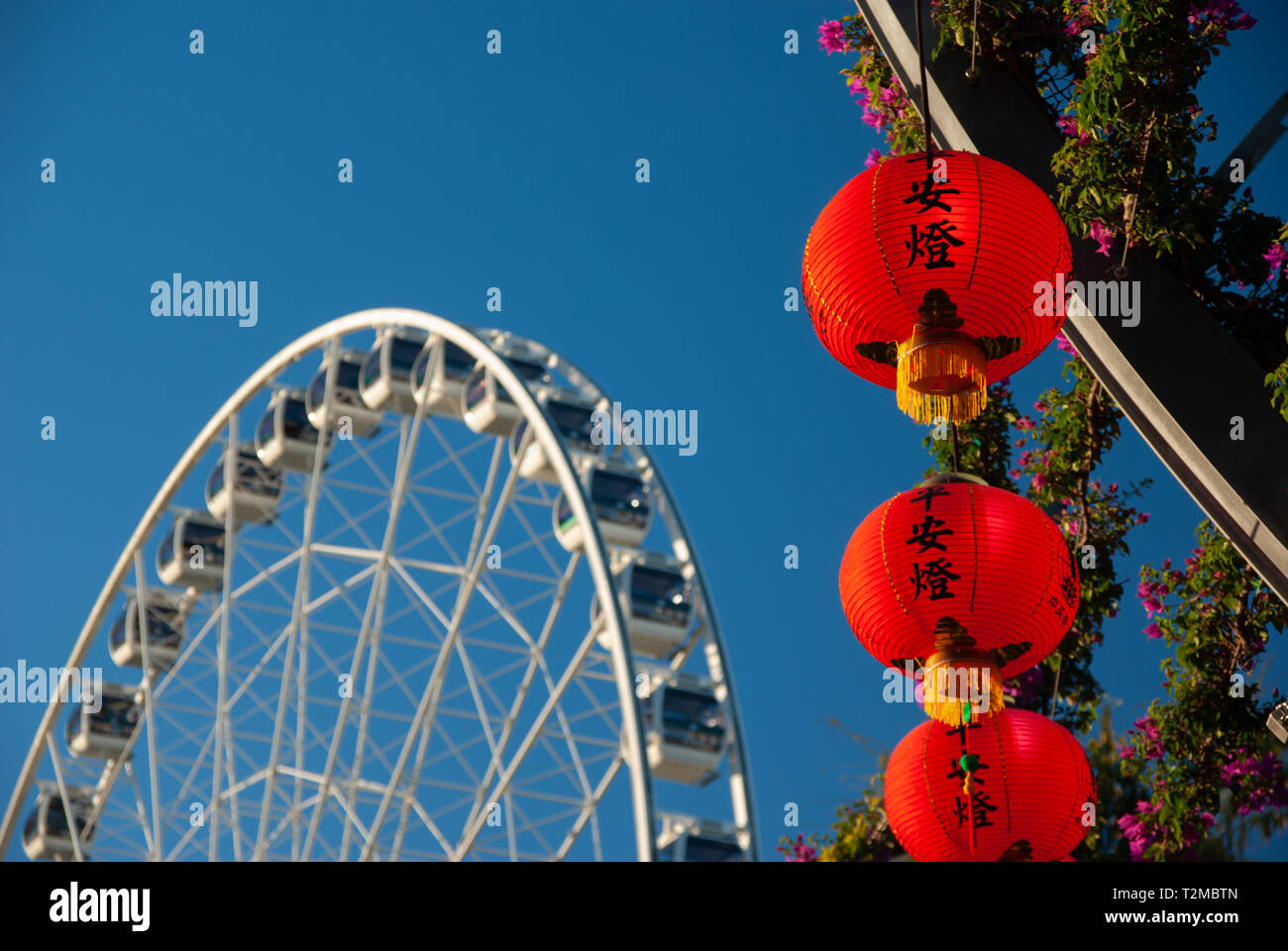 Chinese Lanterns and the Brisbane Wheel at Chinese New Year Stock Photo ...