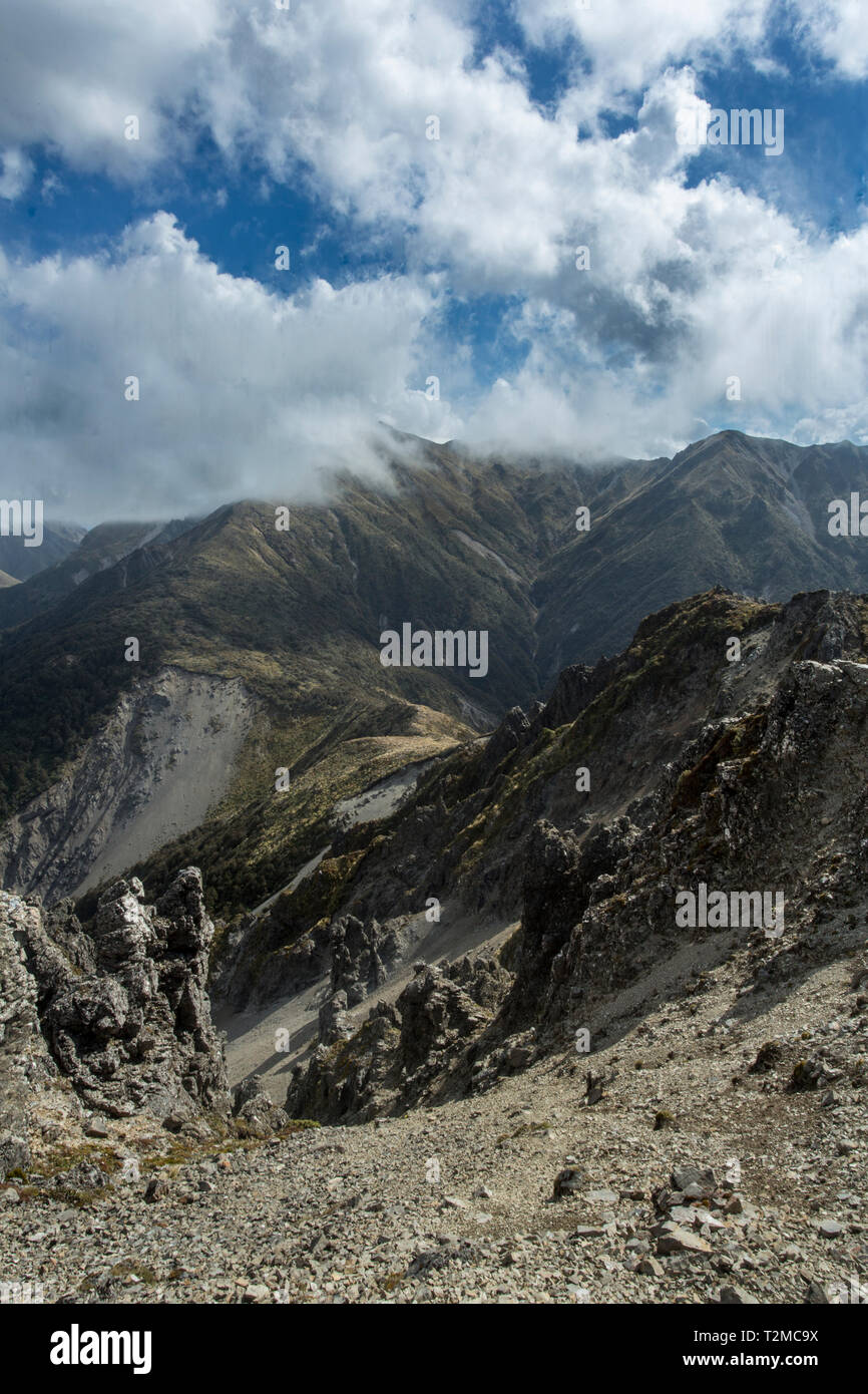 Trekking trail new zealand hi-res stock photography and images - Alamy