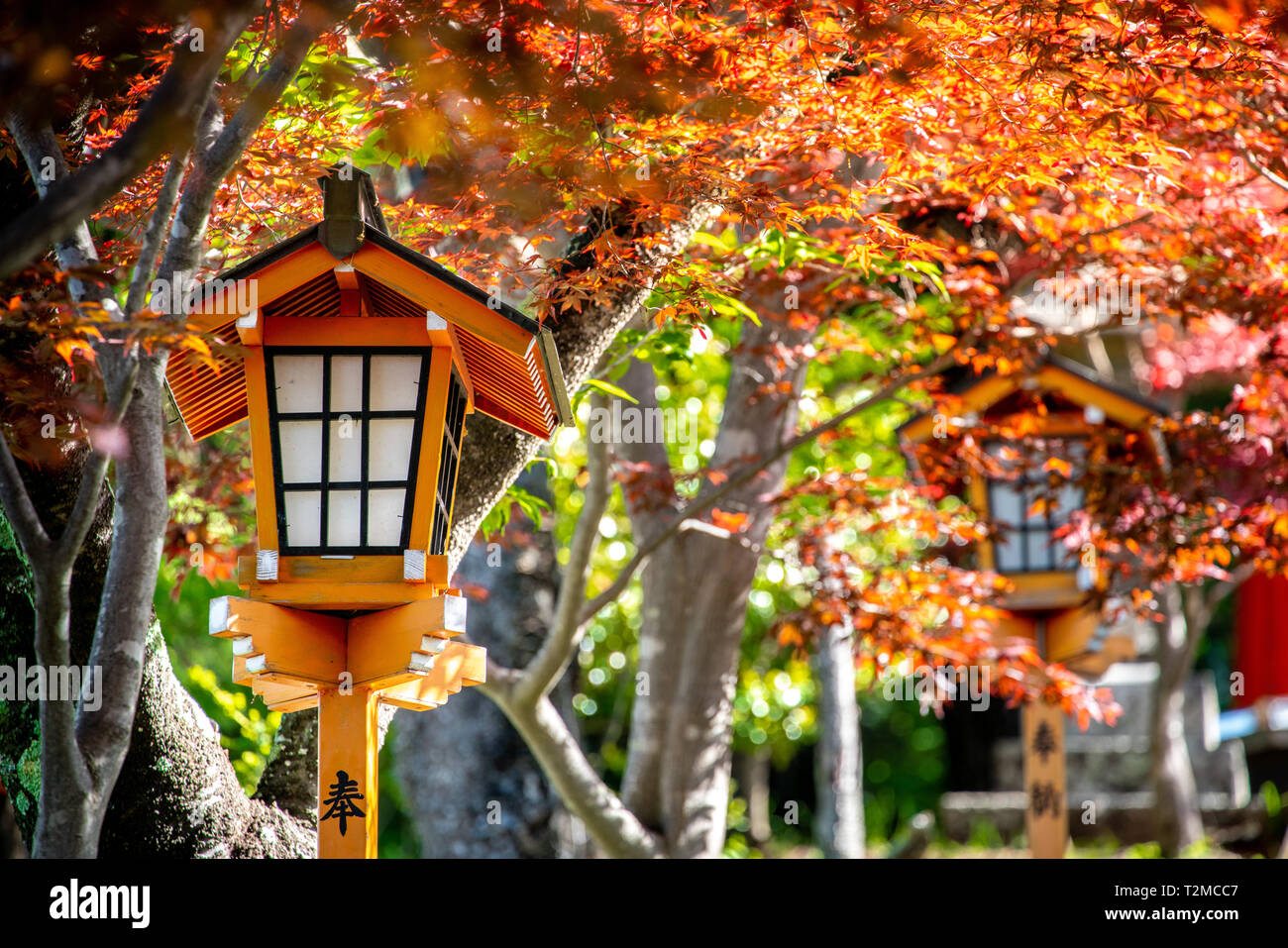 Japanese lamp on walkway to temple with red maple around Stock Photo ...
