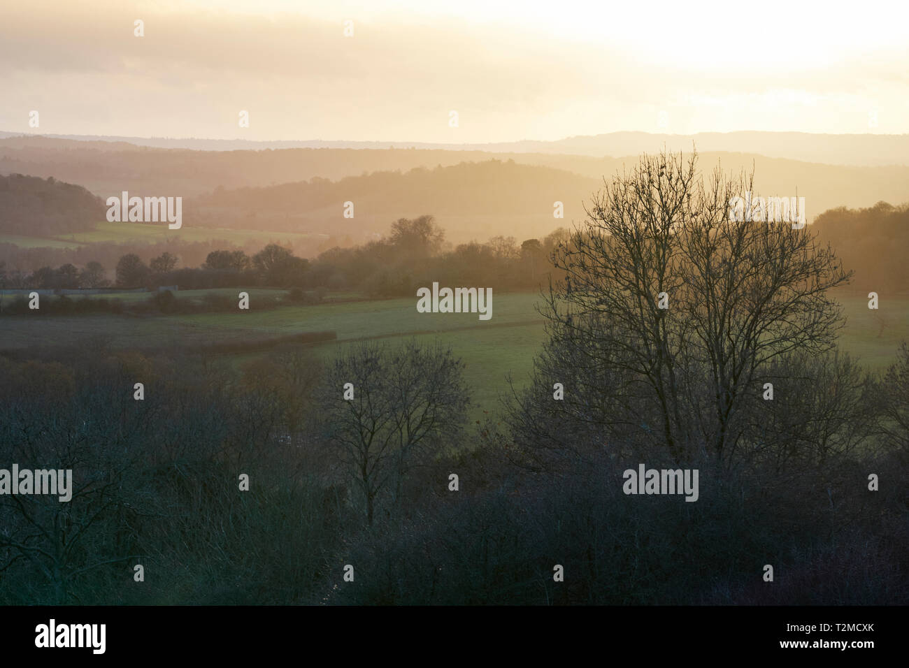 Surrey landscapes hi-res stock photography and images - Alamy