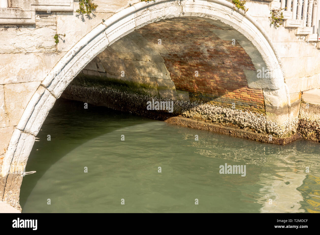 Italy, Venice, arch of a bridge over the water Stock Photo - Alamy