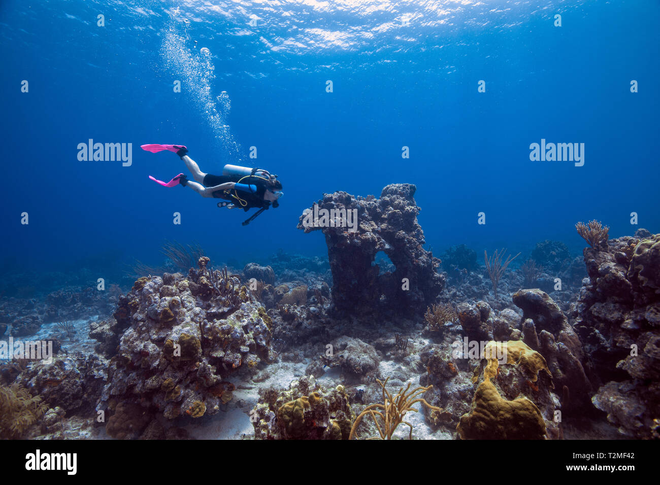 Exploring reefs hi-res stock photography and images - Alamy