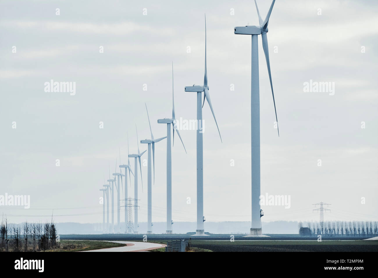 Wind farm, Almere, Flevoland, Netherlands Stock Photo - Alamy