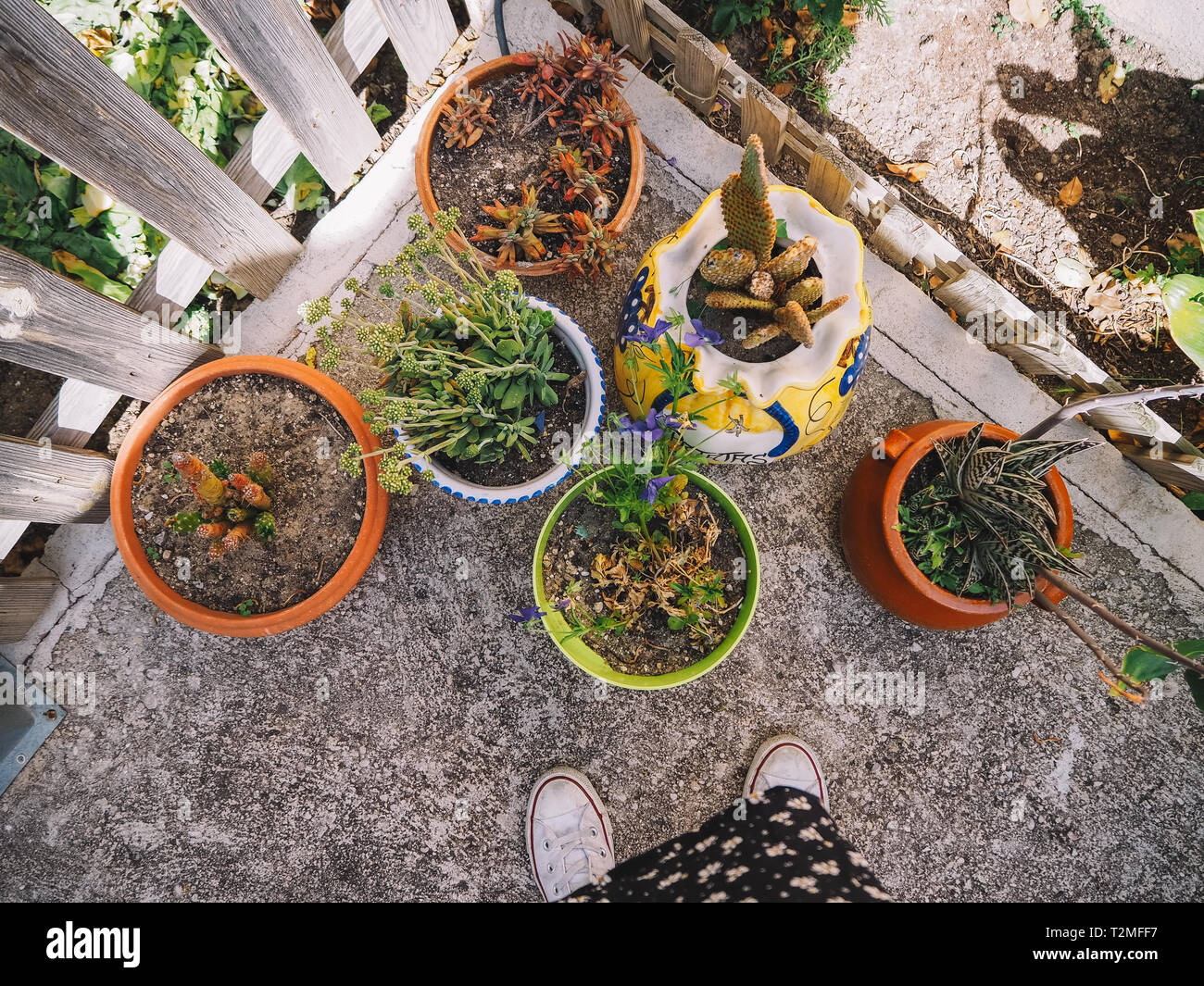 Colored pots hi-res stock photography and images - Alamy