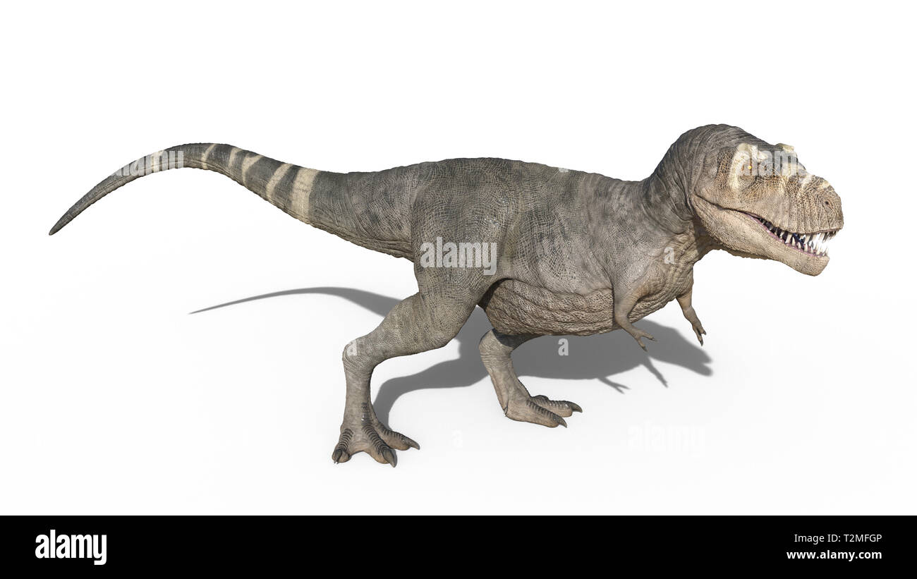 T-Rex Dinosaur, Tyrannosaurus Rex reptile standing, prehistoric ...