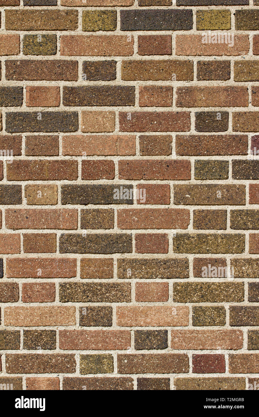 Flemish Brick Pattern High Resolution Stock Photography and Images - Alamy