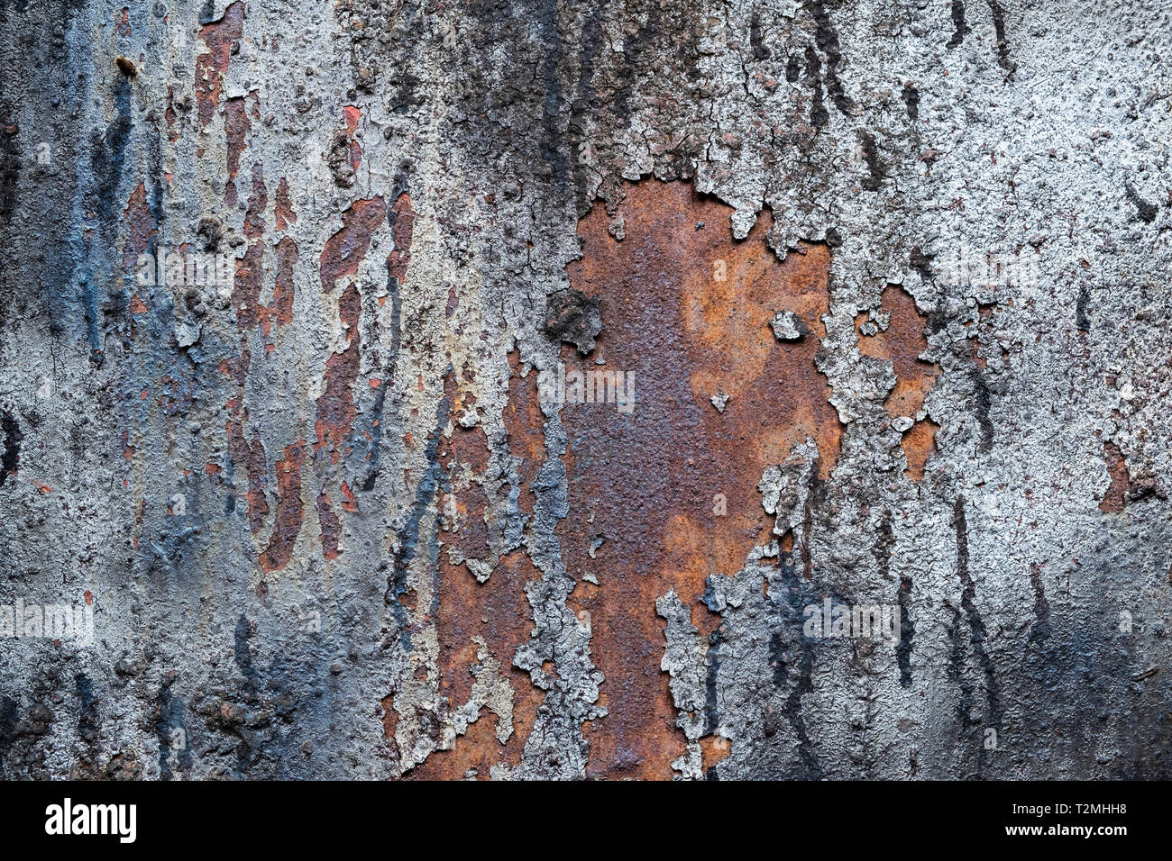 Rusted sheet of metal and grunge texture. Corrosion and oxidized ...
