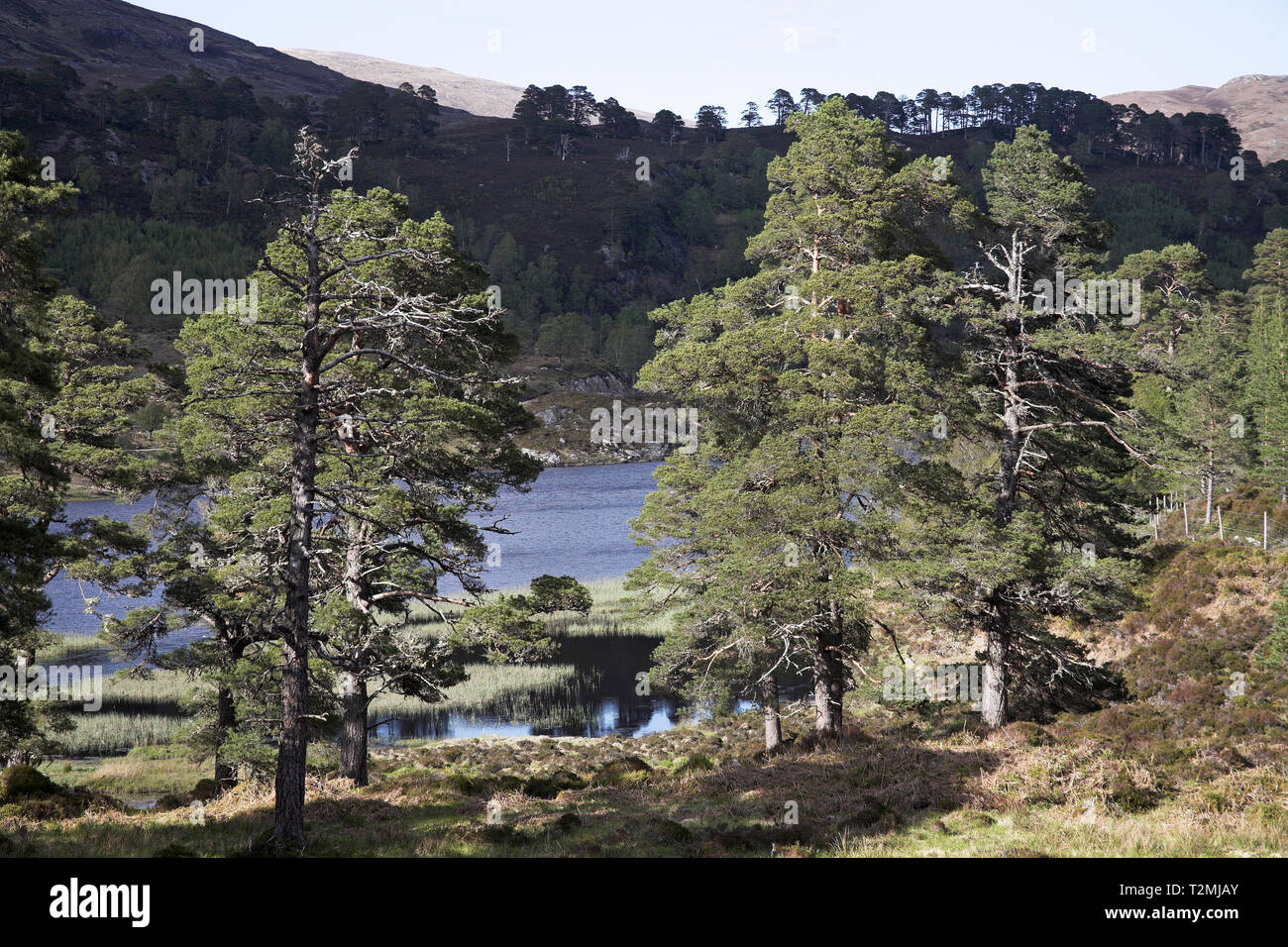 Loch meadhoin hi-res stock photography and images - Alamy