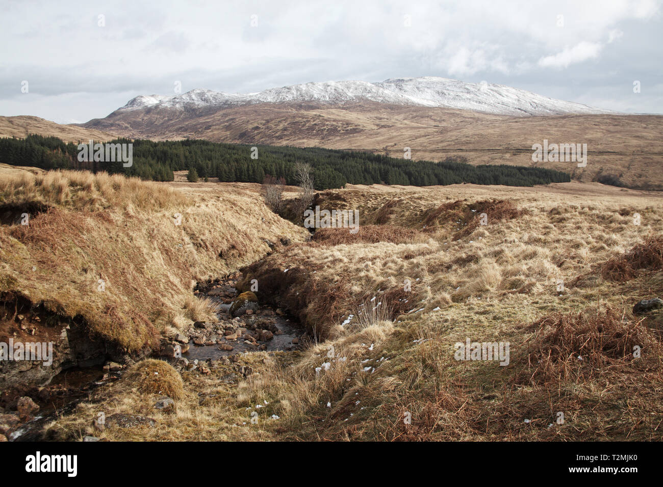 Morvern scotland hi-res stock photography and images - Alamy
