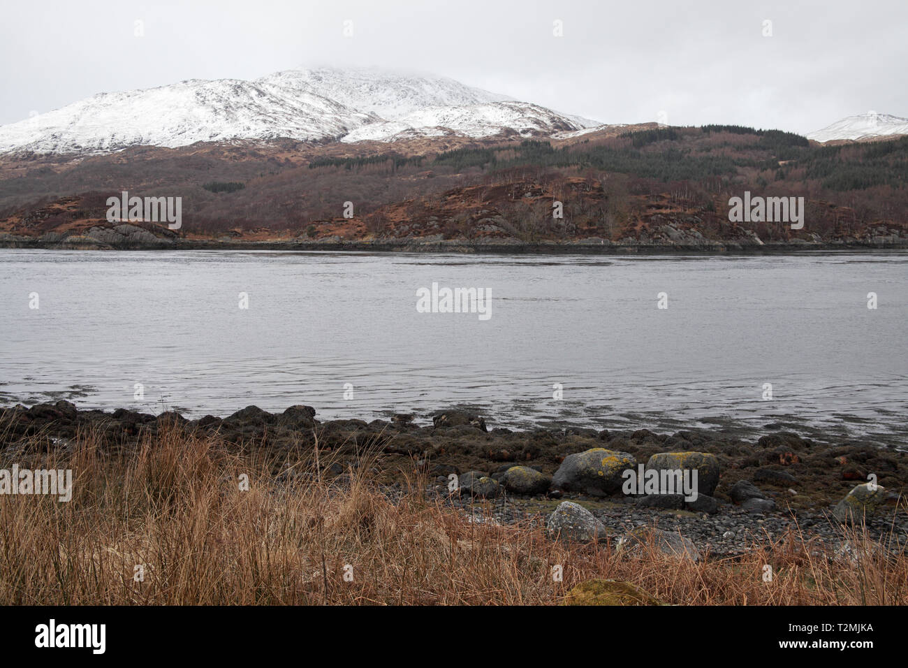 View across the Sound of Mull to the Isle of Mull Scotland United ...