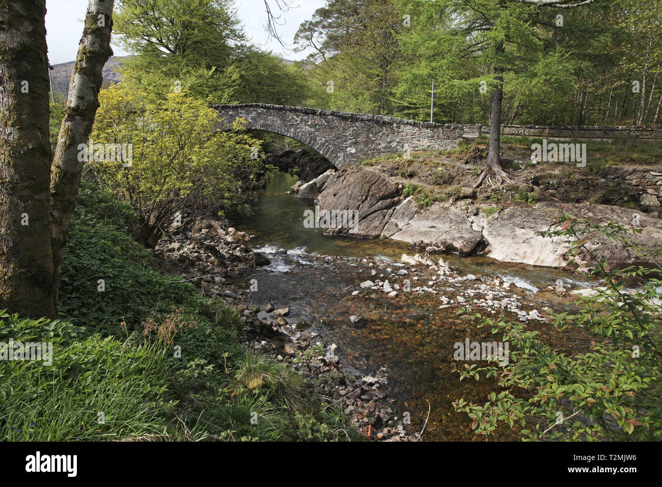 Bridge of Coe over the River Coe with deciduous woodland beyond Glencoe ...