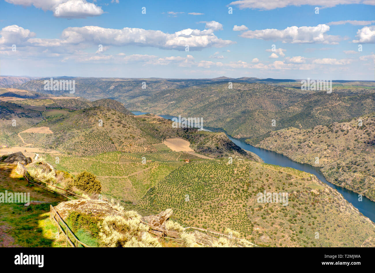 Douro international nature park hi-res stock photography and images - Alamy