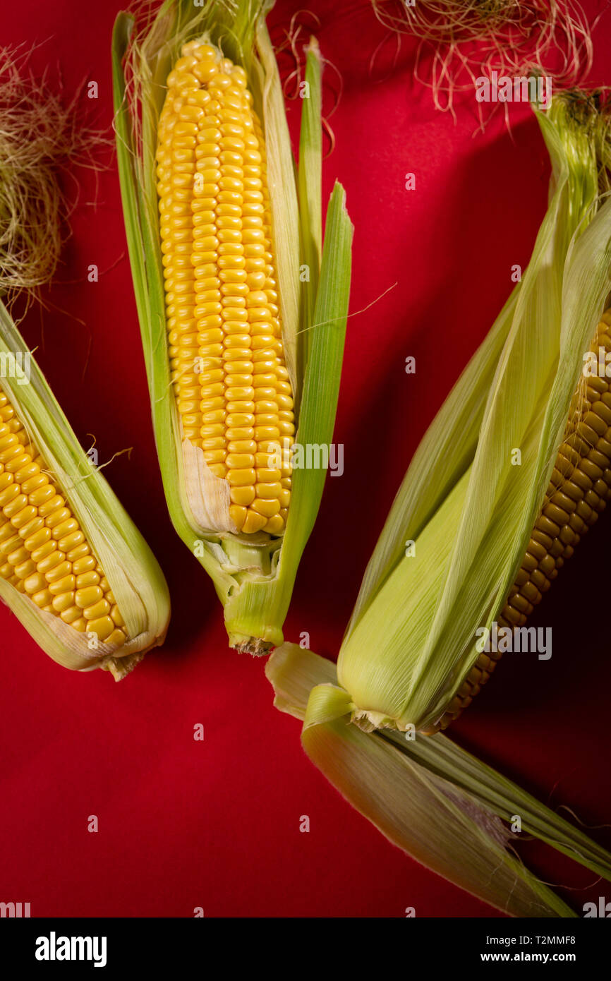 Fresh sweet corn above Stock Photo - Alamy