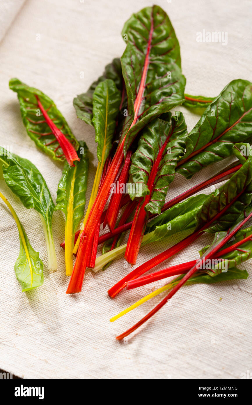 Bunch of fresh swiss chard Stock Photo - Alamy