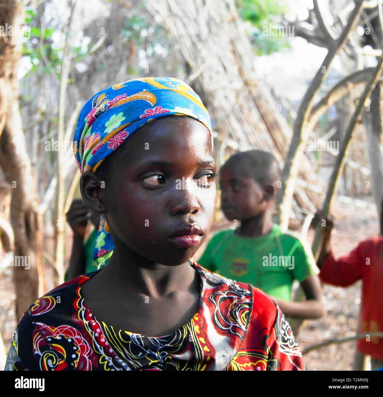 Portrait of tattooed Dowayo aka Duru tribe woman - 25 february 2014 ...
