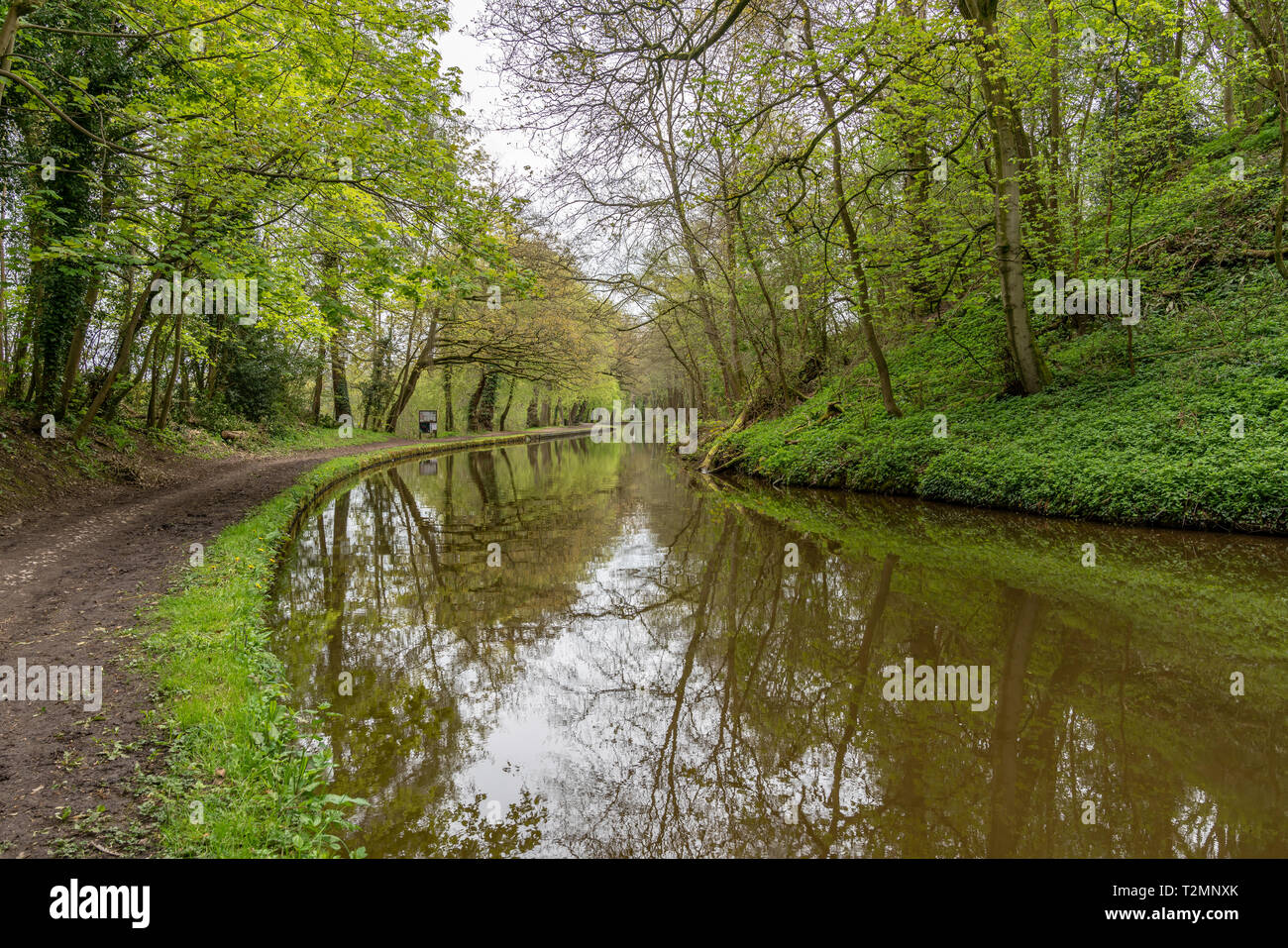 The Llangollen Canal near Ellesmere, Shropshire, England, UK Stock ...