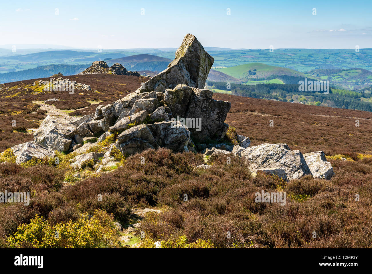 Shropshire landscape at the Stiperstones National Nature Reserve ...