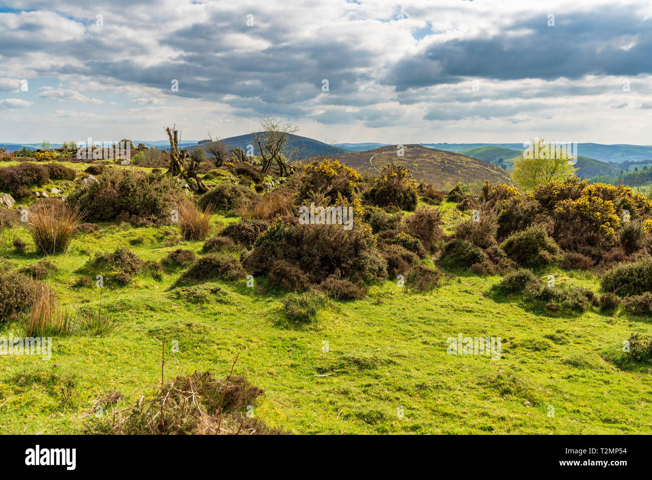 Nipstone rock reserve hi-res stock photography and images - Alamy