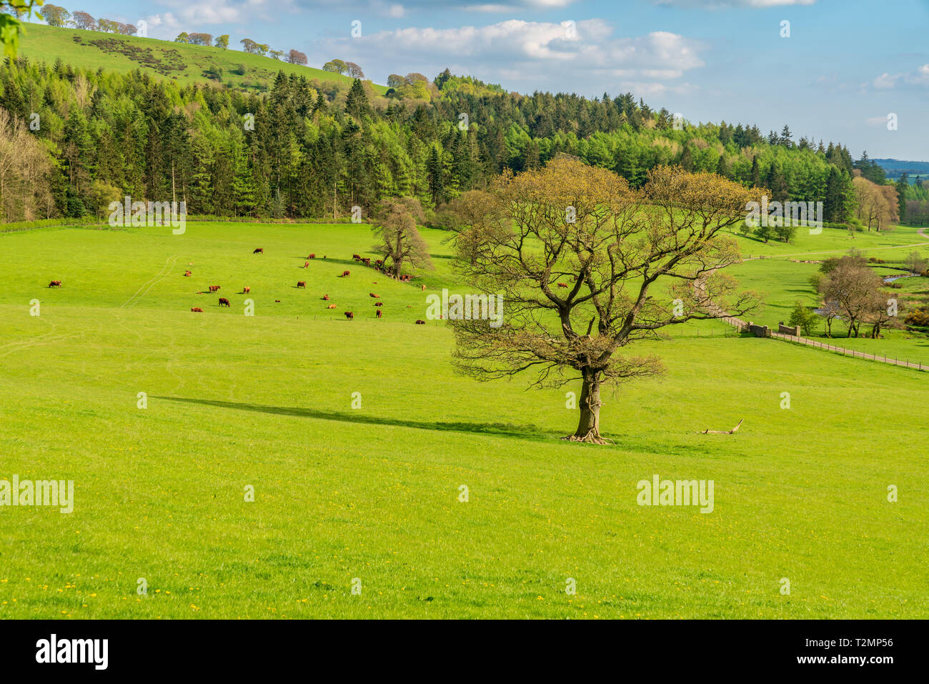 Linley shropshire hi-res stock photography and images - Alamy
