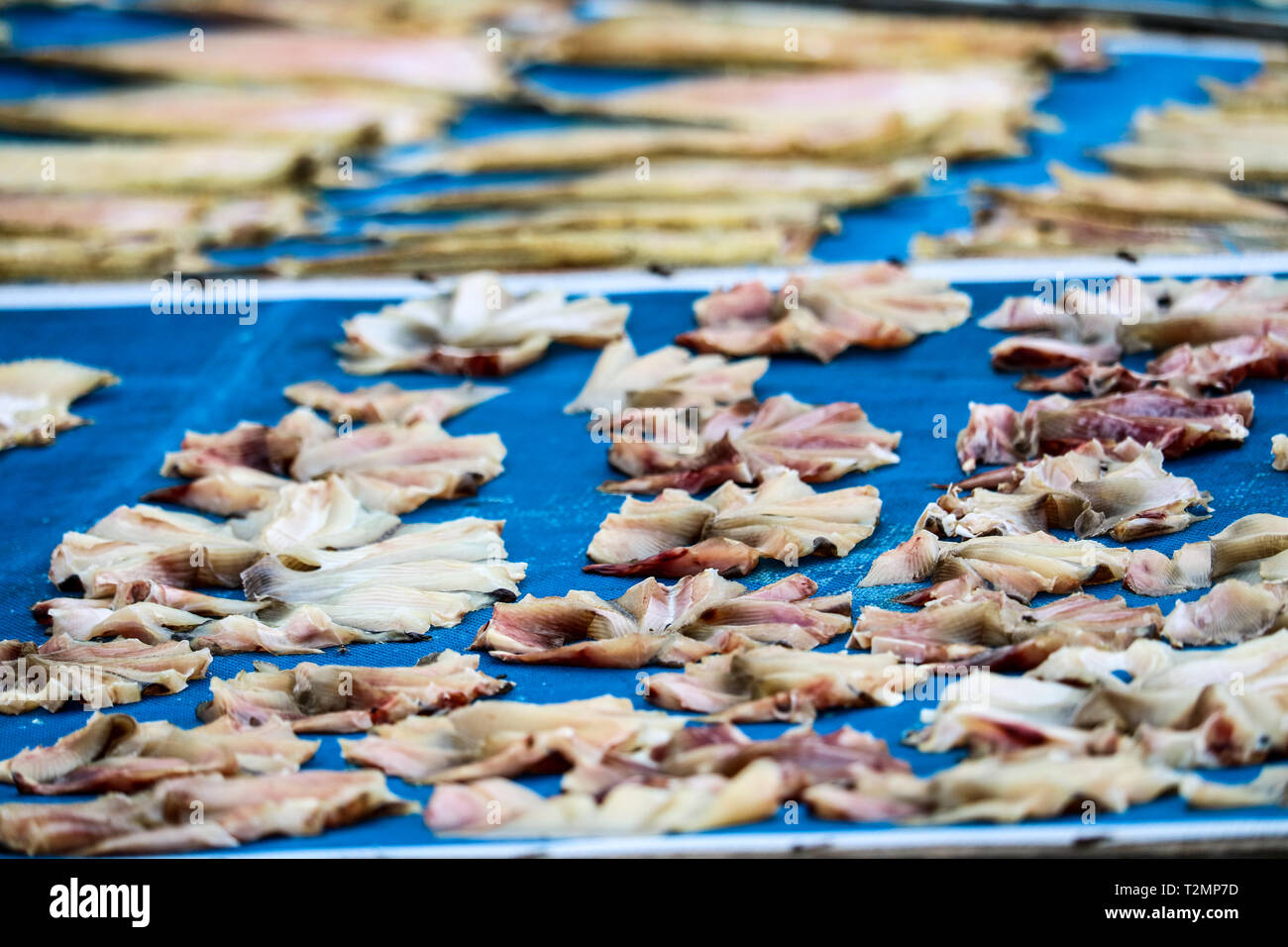 Deep dried fish is a way to preserve. may be risk of infection due to ...