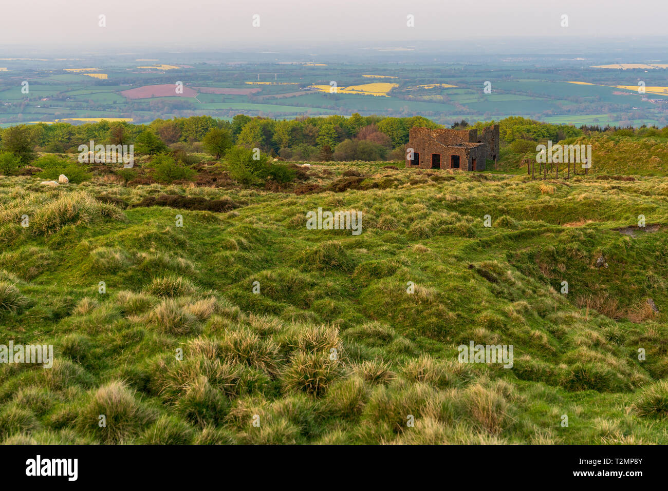 Clee burf hi-res stock photography and images - Alamy