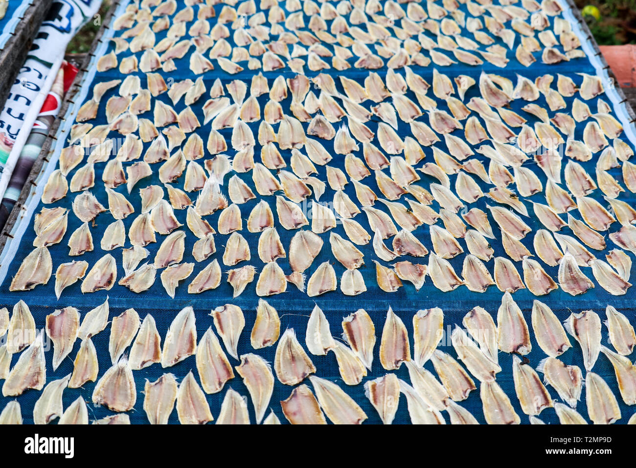Deep dried fish is a way to preserve. may be risk of infection due to ...