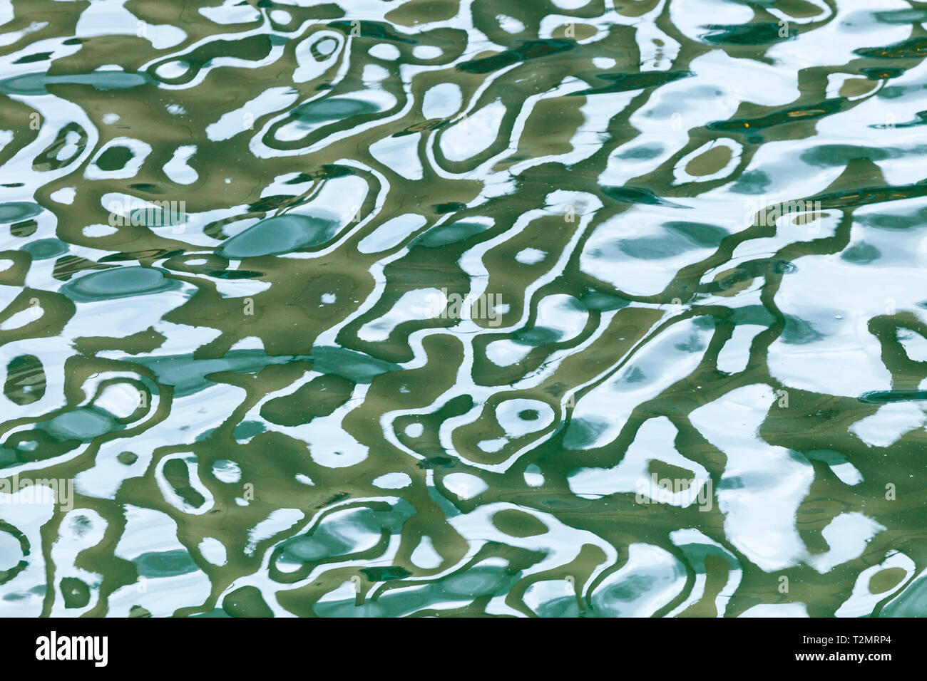 Water design, Everglades National Park, FLORIDA, USA, AMERICA Stock ...