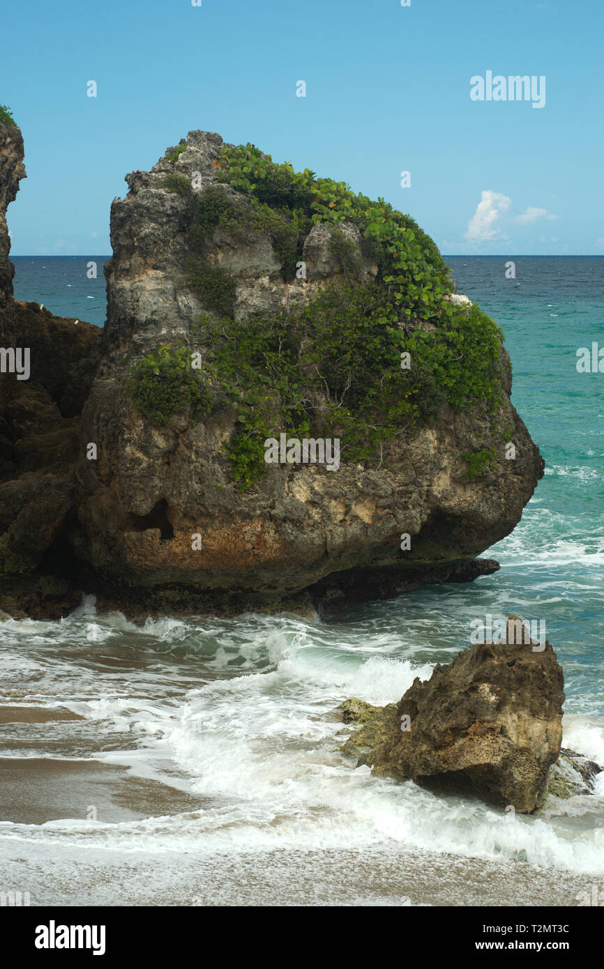 Isabela puerto rico hi-res stock photography and images - Alamy