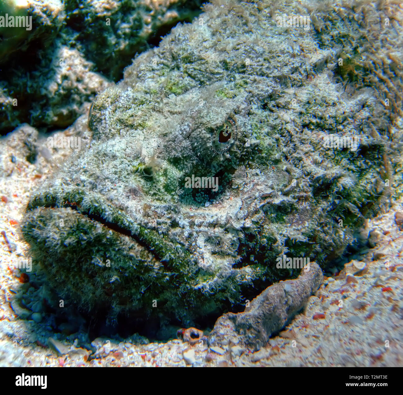 Diabola hi-res stock photography and images - Alamy