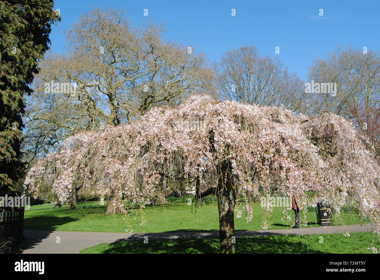 Victorian garden party uk hi-res stock photography and images - Alamy