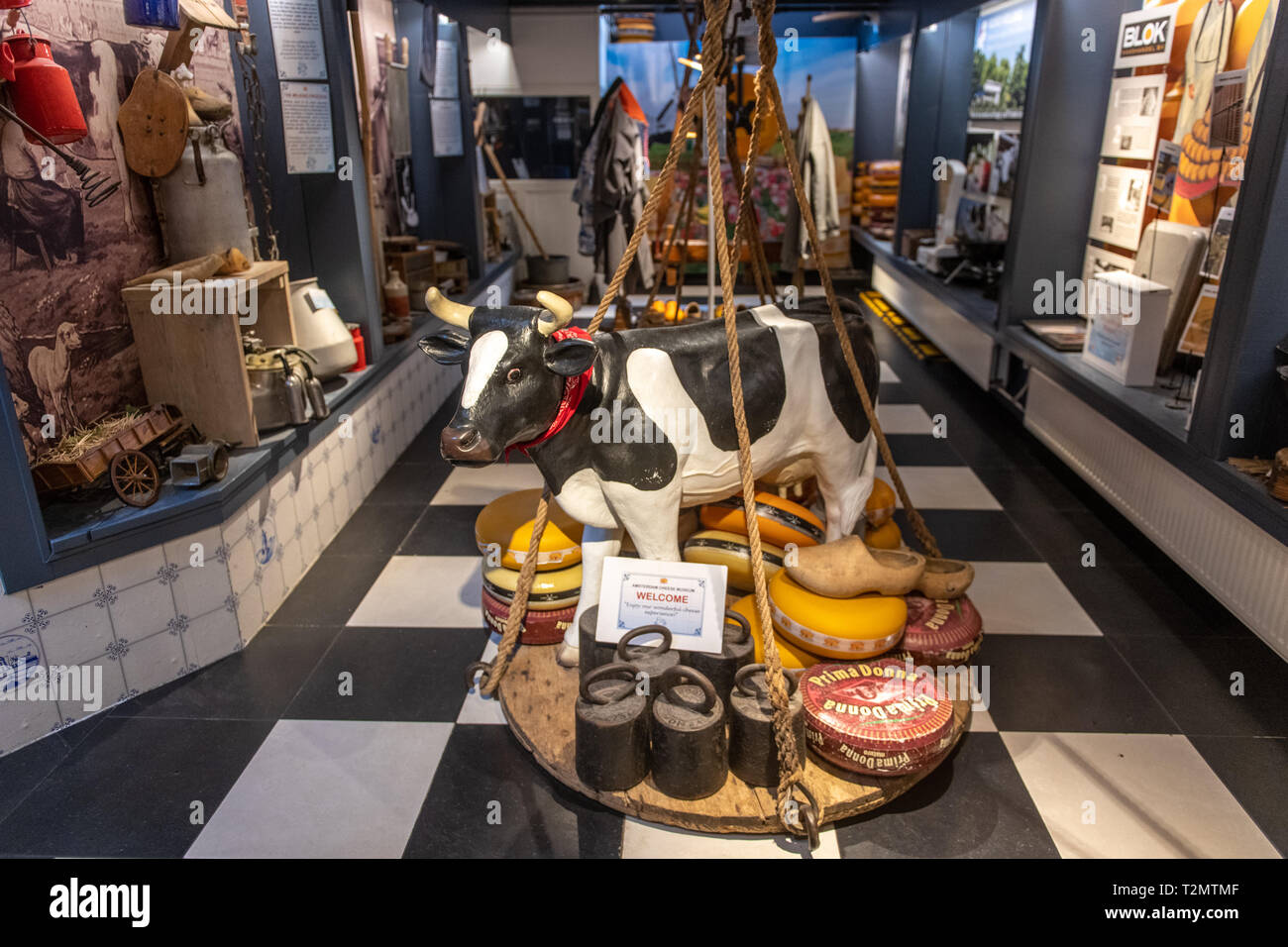 An interior image of the Amsterdam Cheese Museum in Amsterdam ...