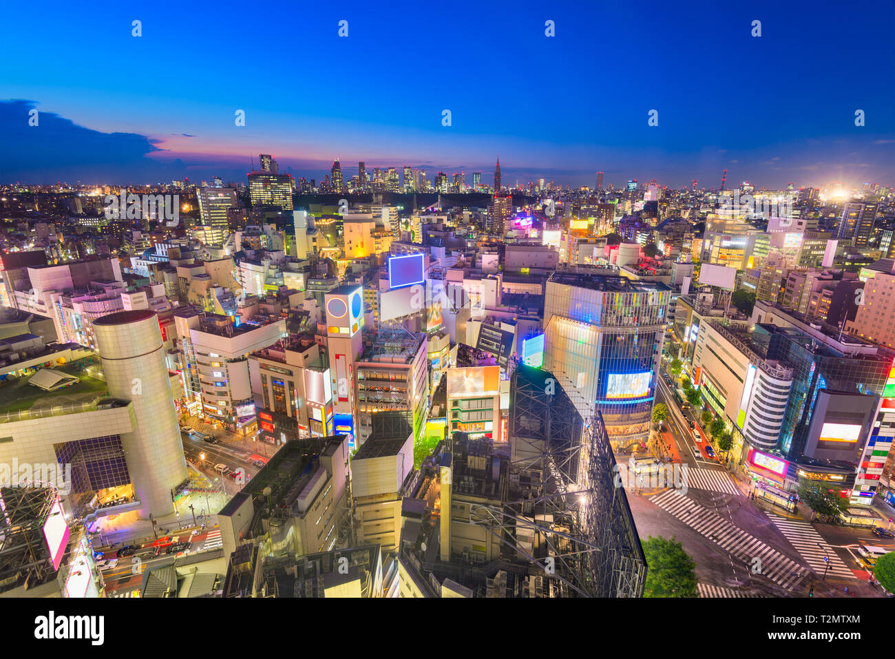Tokyo, Japan city skyline over Shibuya Ward with the Shinjuku skyline ...